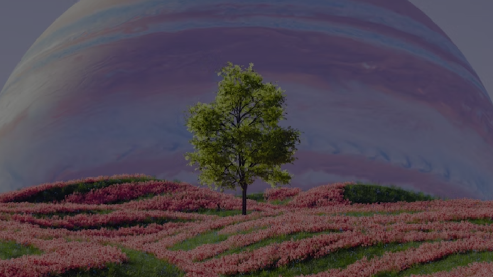 Creating an Ideal World